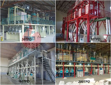 Maize Milling Plant For Maize Flour