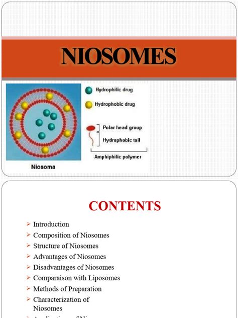 6 2 Niosomes Pdf Liposome Surfactant