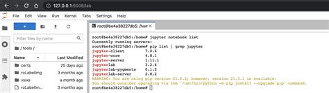 Jupyterlab Cannot Display Currently Running Servers Issue Jupyterlab Jupyterlab Github