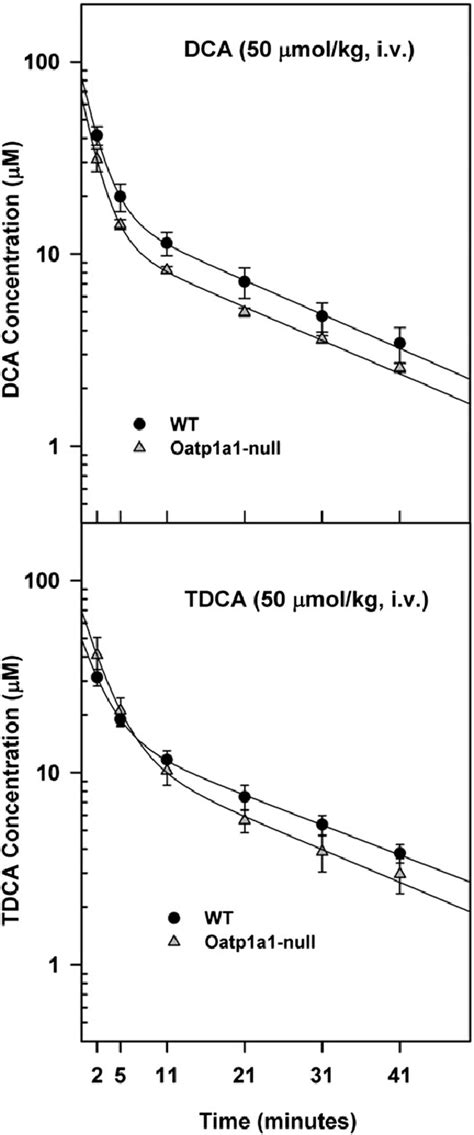 Plasma Distribution Of Dca And Tdca In Wt And Oatp1a1 Null Mice Dca Or