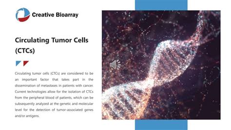 enrichment isolation and characterization of ctcs pptx