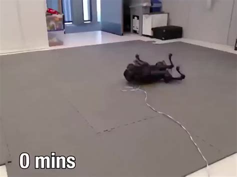 Arslan Habib® On Linkedin Ai Algorithm Artificialintelligence