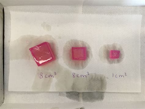 Diffusion In Agar Cubes Nighina S Blog