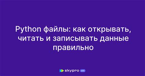 Чтение и запись файлов в Python