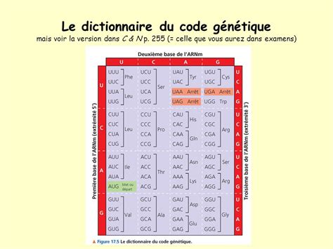 Quoi Réviser Module 2 Bio Cell Ppt Télécharger