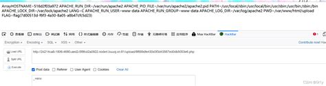 Suctf 2018 Getshell Csdn博客