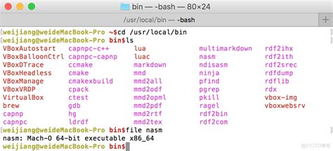 Navmeshcomponents教程 Nasm使用教程mob64ca13f96cda的技术博客51cto博客