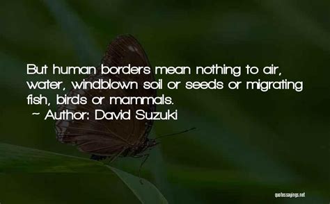 Top 11 Quotes And Sayings About Migrating Birds