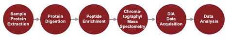 Cutting Edge Proteomics Services Singulomics Corporation