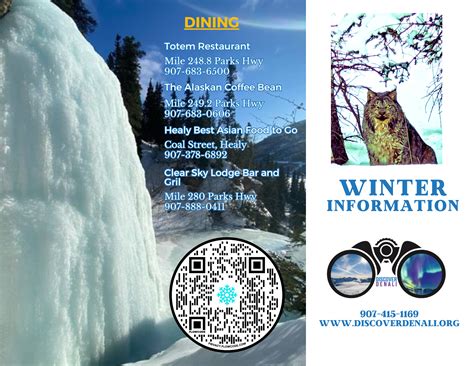 Winter Discover Denali