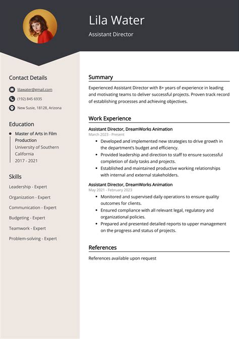 Assistant Director CV Example For 2023 Skills Templates
