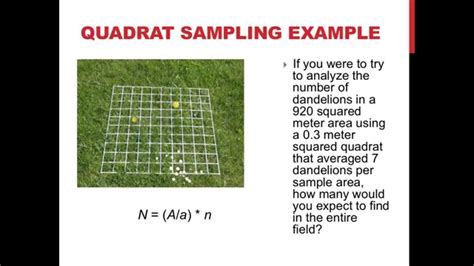 Describe The Sampling Method For Determining Population Size Anderson Has Proctor