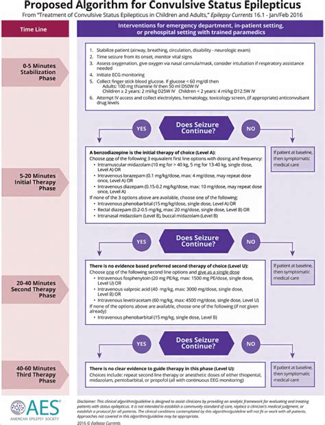 8 Treatment Of Status Epilepticus In Adults Neupsy Key