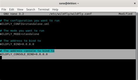 How To Install And Configure WildFly JBoss On Debian VITUX
