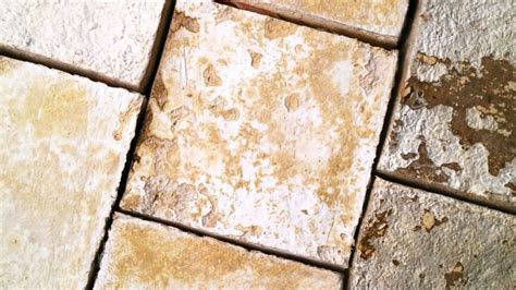 Mycelium Is Part Of The Solution To Carbon Negative Buildings