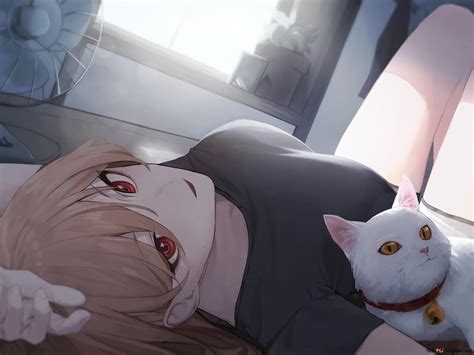 Power With Cat From Chainsaw Man K Wallpaper Download