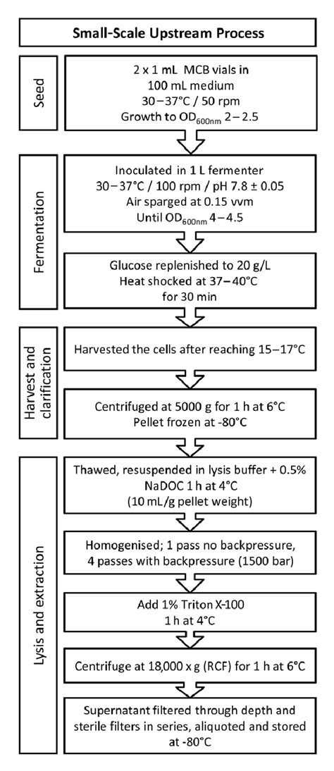 Flowchart For The Small Scale Upstream Process Download Scientific Diagram