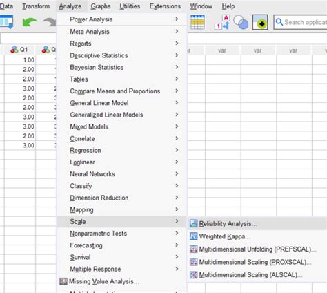 How To Calculate Cronbach S Alpha In SPSS With Example