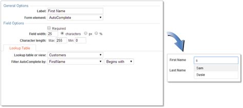 Form Element Types Caspio Online Help