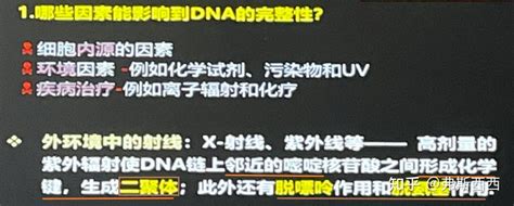 生化——dna的复制及损伤修复整理 知乎