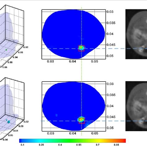 Reconstruction Of The In Vivo Experiment Based On Meshless Method Mm Download Scientific