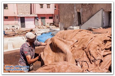 دبغ الجلود في المغرب لفلي سمايل