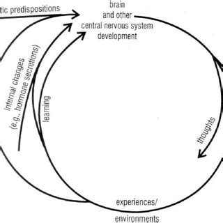 A Biopsychosocial Model As A Framework For Understanding Cognitive Sex Download Scientific