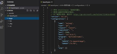 goVSCode配置Go插件和debug设置 依然范儿特西 博客园