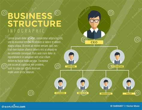 Business Structure Infographic Tree Infographic Stock Vector Image