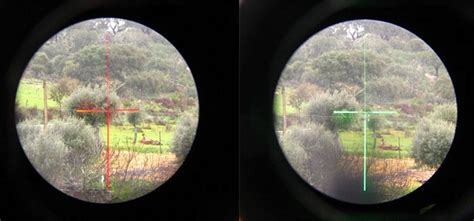 Acog Green Or Red M14 Forum