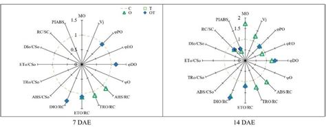 Spider Plots Of Jip Parameters Derived From Chlorophyll A Fluorescence