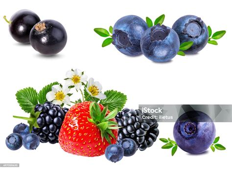 딸기 컬렉션입니다 라즈베리 블루베리 건포도 블랙베리 딸기 절연 건강한 식생활에 대한 스톡 사진 및 기타 이미지 건강한 식생활 검은색 과일 Istock