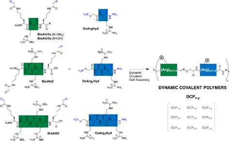 Figure 1 From Structure‐activity Relationships In Nucleic‐acid