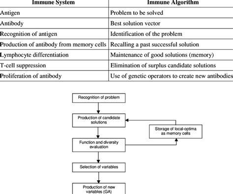 Comparison Between The Immune Algorithm And The Immune System