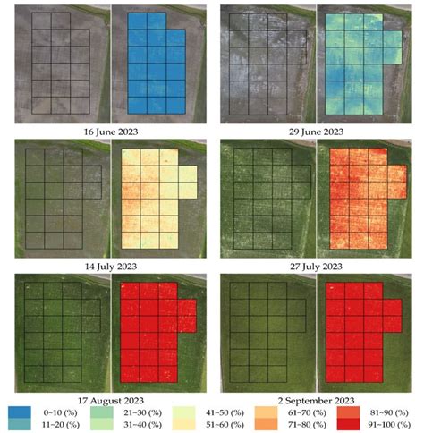 Rice Sentinel2 Uav Data Remote Sensing Mdpi