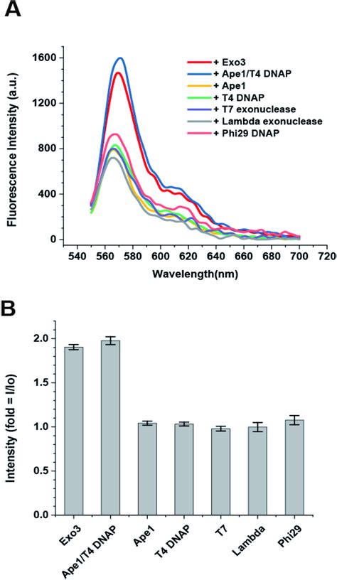 enzymatic specificity of the biosensor dsdna fe a fluorescence