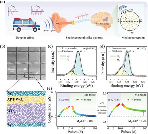Auditory Motion Perception Emulated In Wox‐based Memristive Synapses
