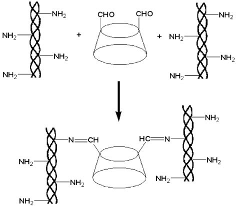 Application Method Of Cyclodextrin Aldehyde Cross Linking Agent