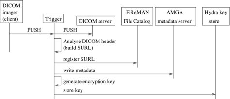 Triggered Action At Image Creation Download Scientific Diagram
