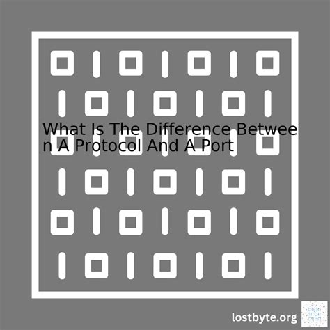 What Is The Difference Between A Protocol And A Port Lost Byte