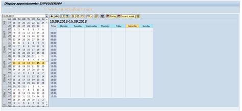 SSC1 SAP Tcode SAP Own Appointment Calendar
