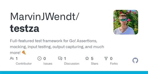 Testza A Testing Framework With Nice Output For Go Assertions Mocking Input Testing Output