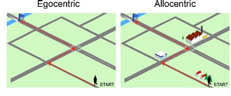 Figure 1 From Missing The Egocentric Spatial Reference A Blank On The