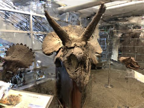 Mvpgs Excavating Multi View Prior For Gaussian Splatting From Sparse