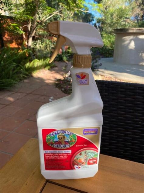 5 Reasons Lime Tree Leaves Turn Yellow How To Fix It Couch To Homestead