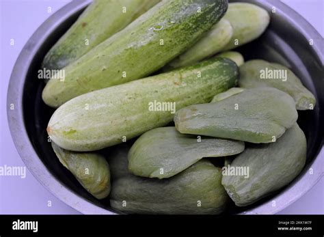 Mentimun Timun Ketimun Or Cucumis Sativus L With Selected Focus