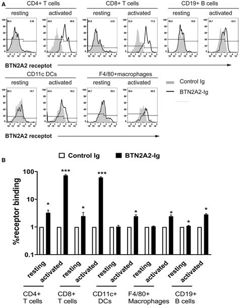 The Expression Pattern Of The Putative Btn2a2 Receptor On Immune Cells