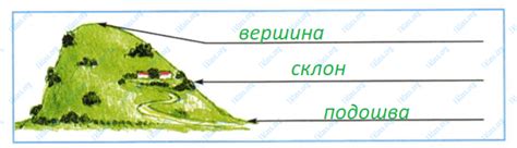 ГДЗ по Окружающему миру 2 класс рабочая тетрадь Плешаков 2 часть страница 49