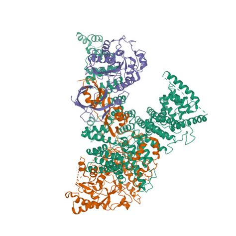 Rcsb Pdb 6yj6 Structure Of The Tfiiic Subcomplex Taua