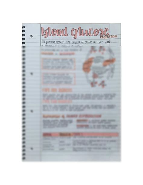 SOLUTION Gcse Revision Notes Biology Revision Aesthetic Studypool